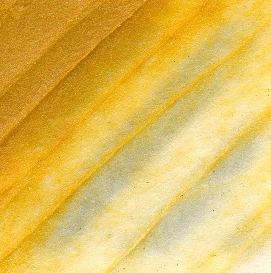 COARSE MOLDING PASTE- משחת עיצוב חולית עבה 237 מ''ל | GOLDEN